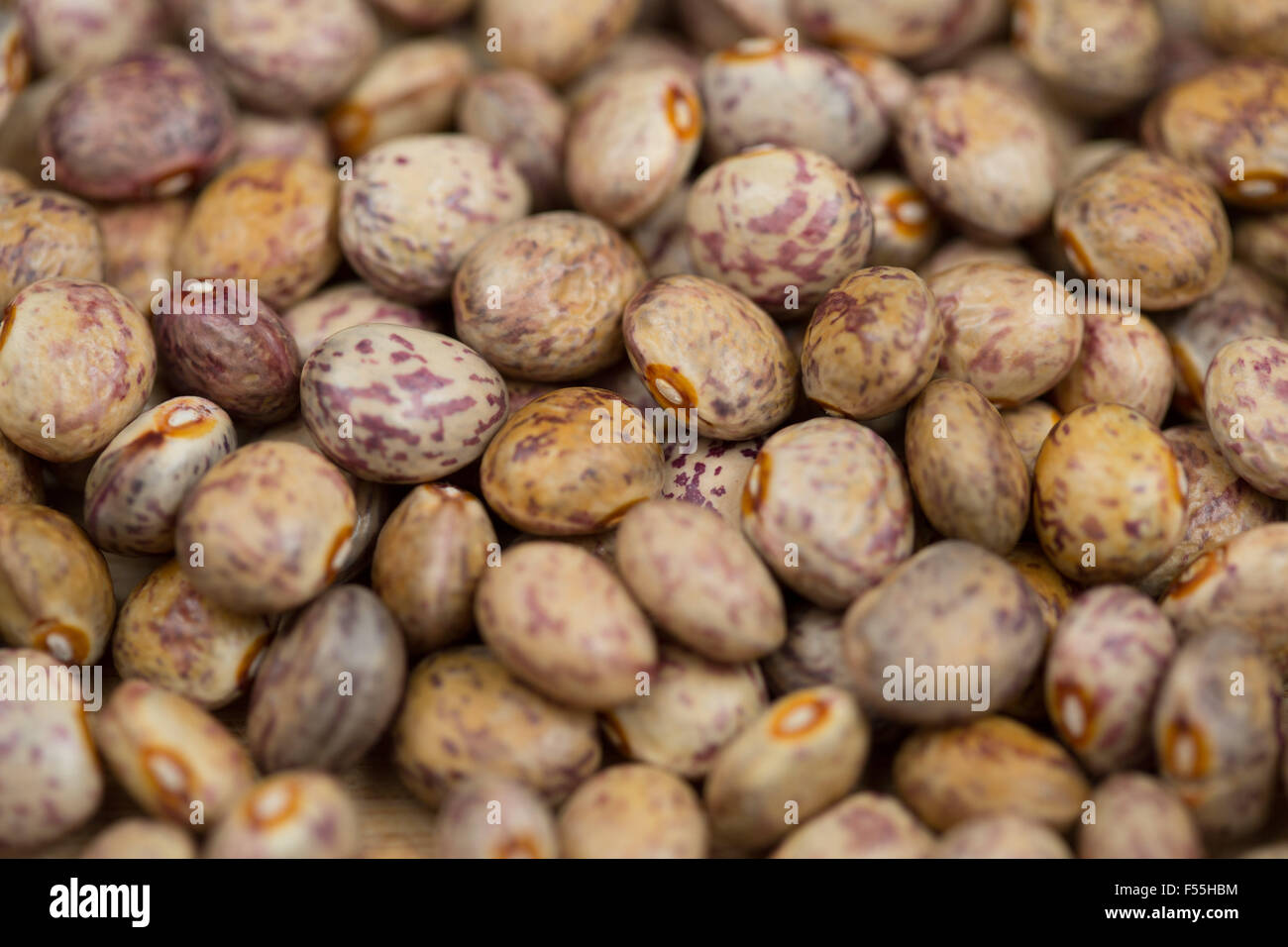 Borlotti beans hi-res stock photography and images - Alamy