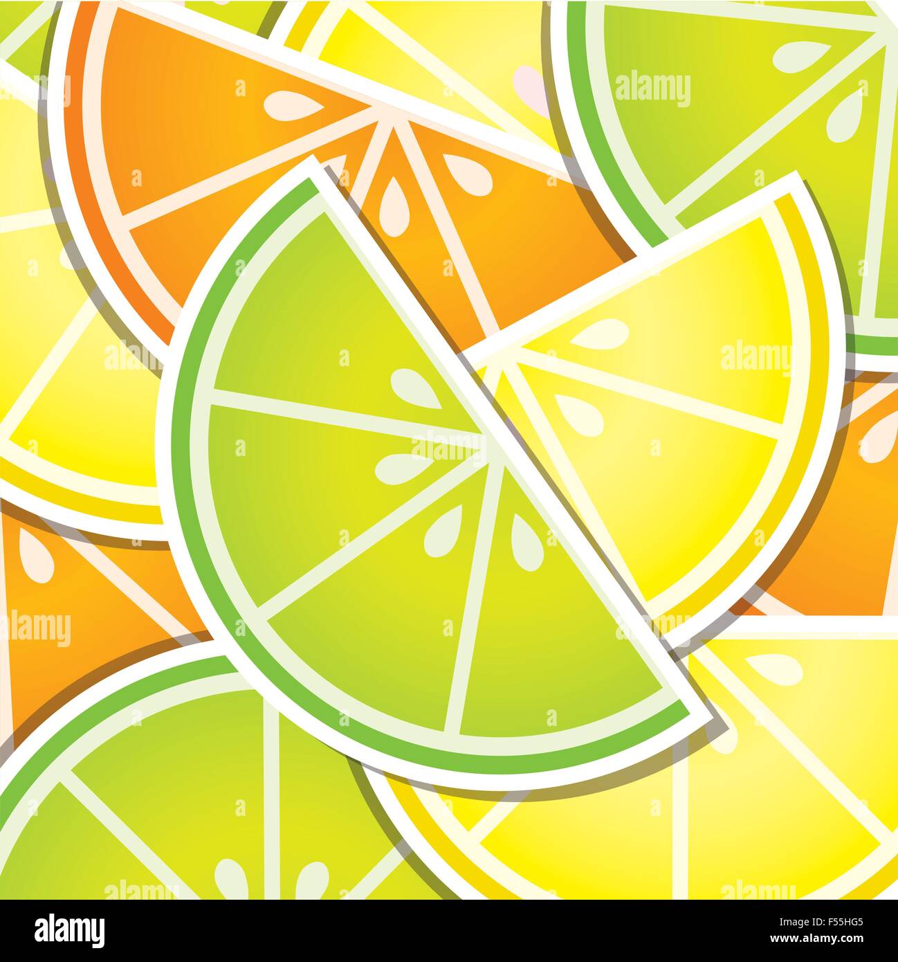 Citrus slice background/card in vector format Stock Vector Image & Art ...