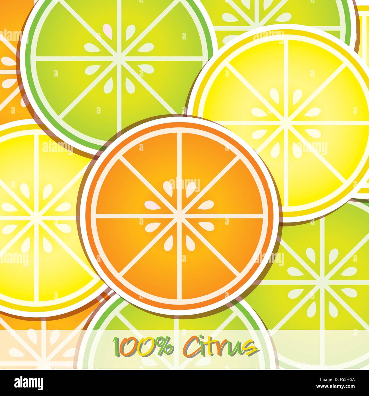 Citrus slice background/card in vector format Stock Vector Image & Art ...