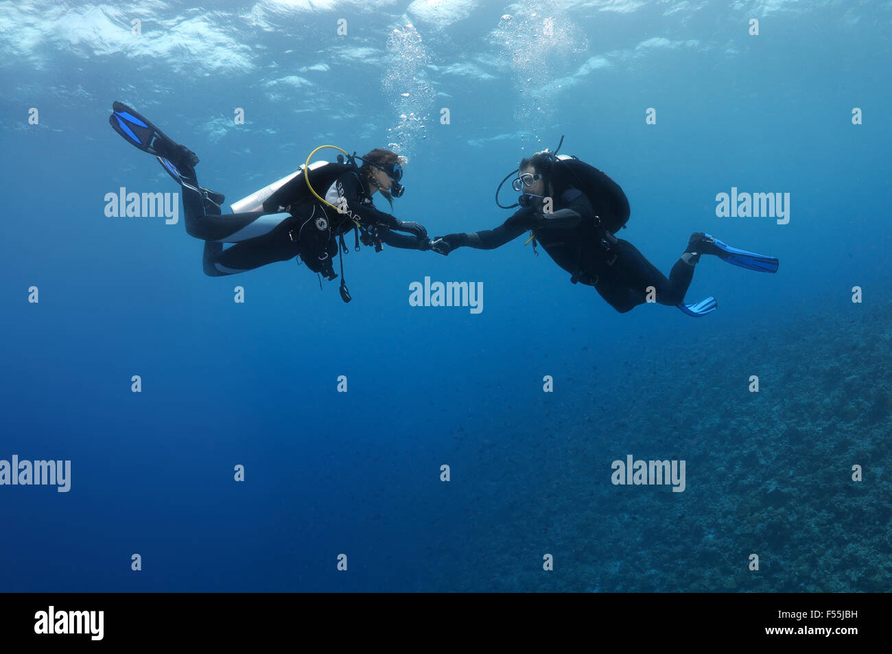 Young couple hanging divers in the water, stare at each other holding ...
