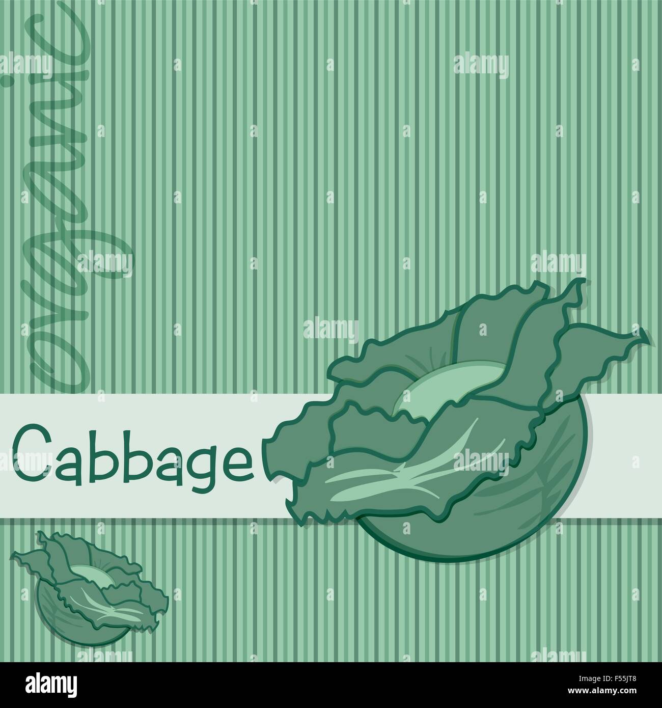 Bright organic cabbage card in vector format Stock Vector Image & Art ...