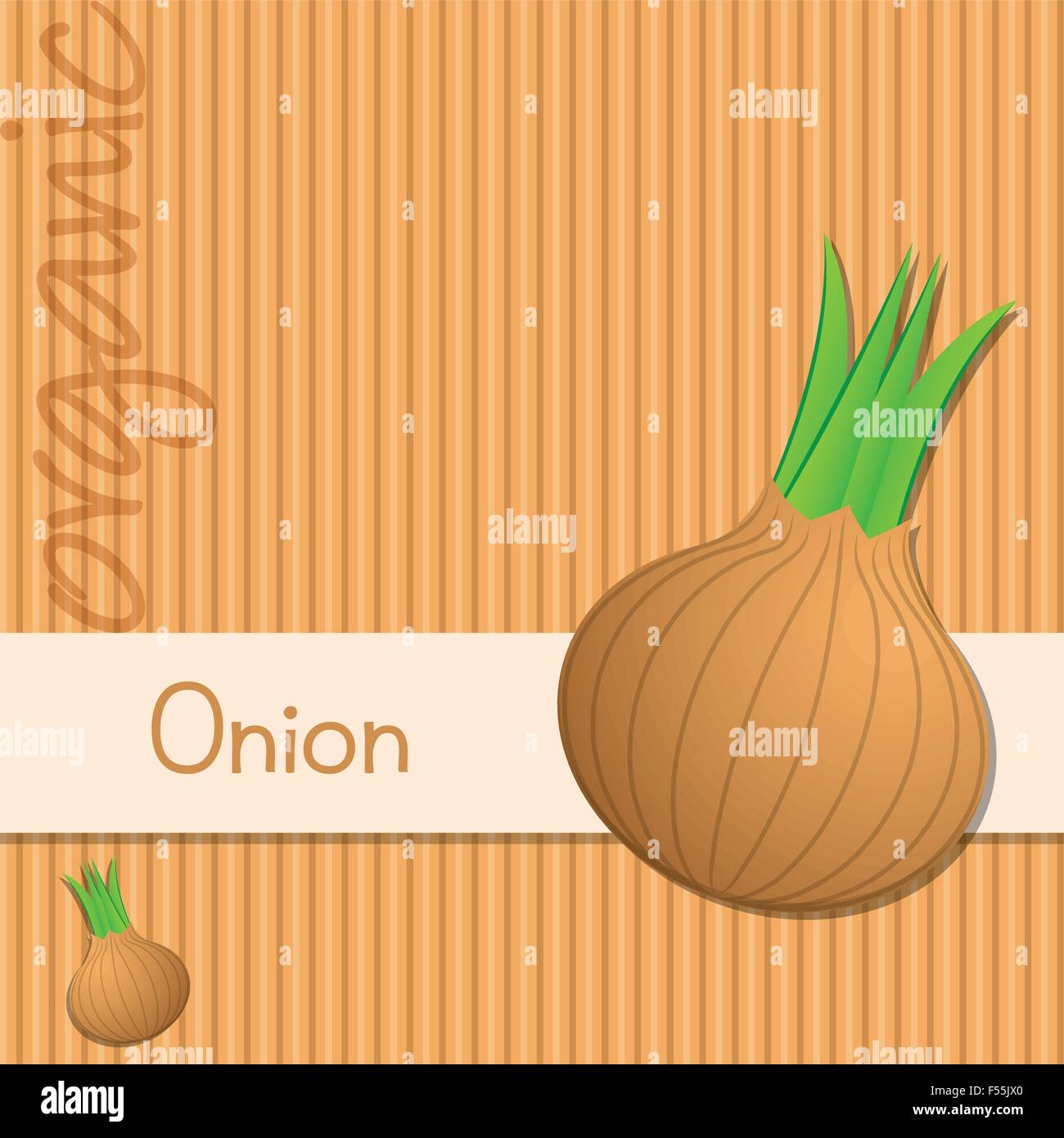 Bright organic onion card in vector format Stock Vector Image & Art - Alamy