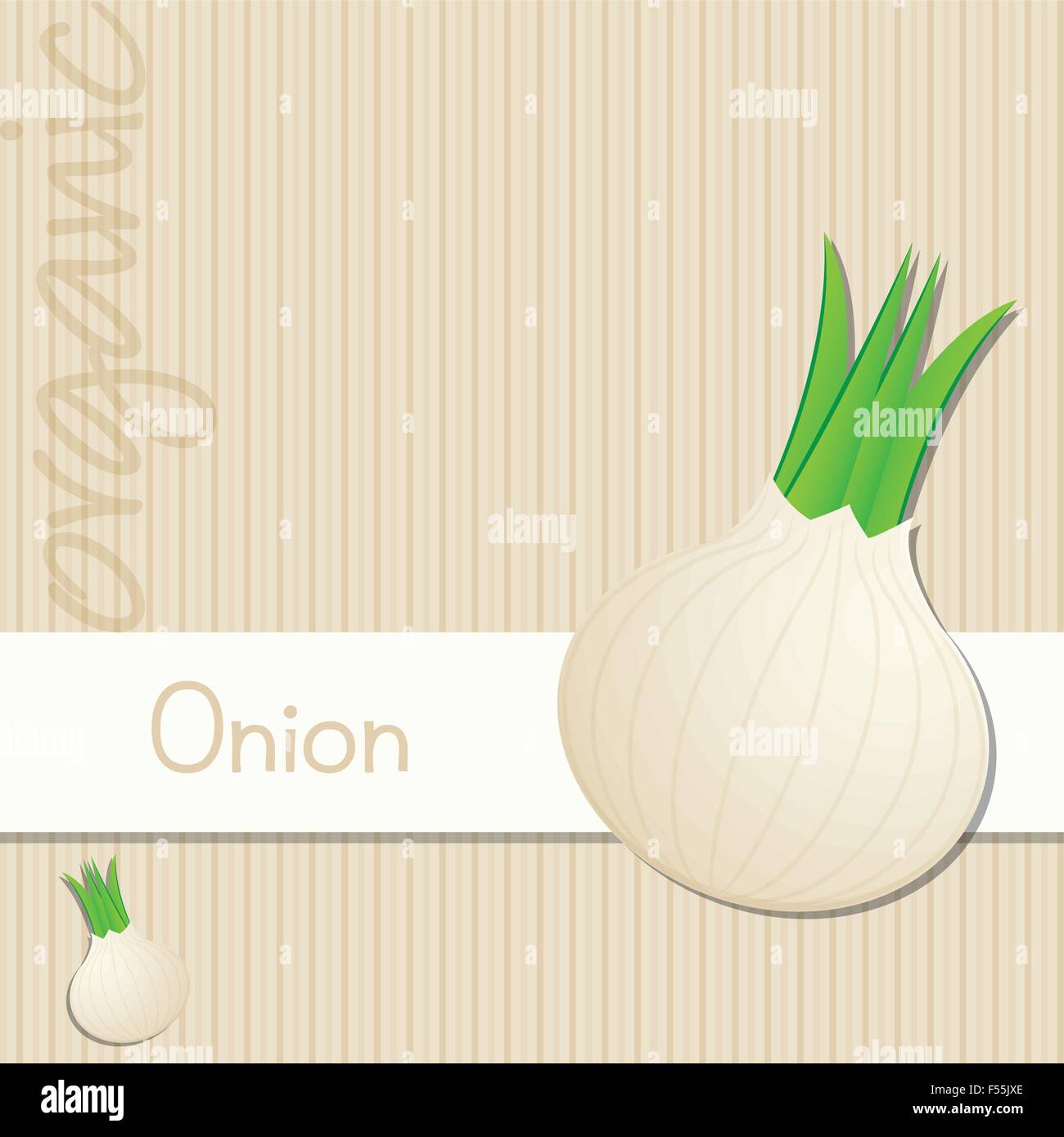 Onion in cream Stock Vector Images - Alamy