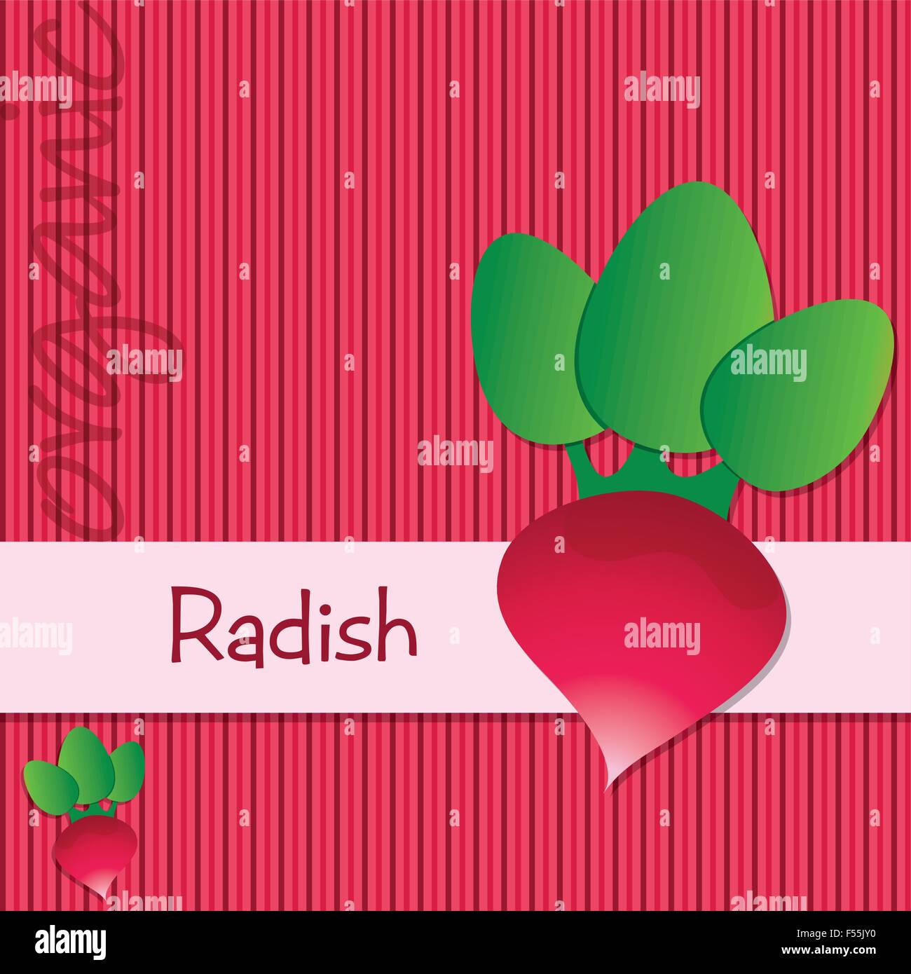 Bright organic raddish card in vector format Stock Vector Image & Art ...