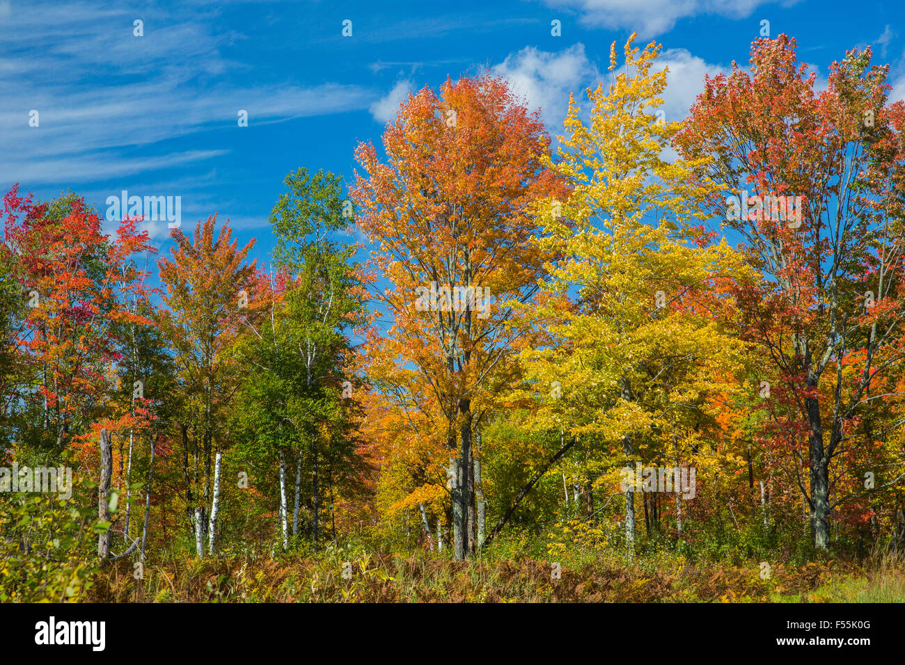 Changing scenery hi-res stock photography and images - Alamy