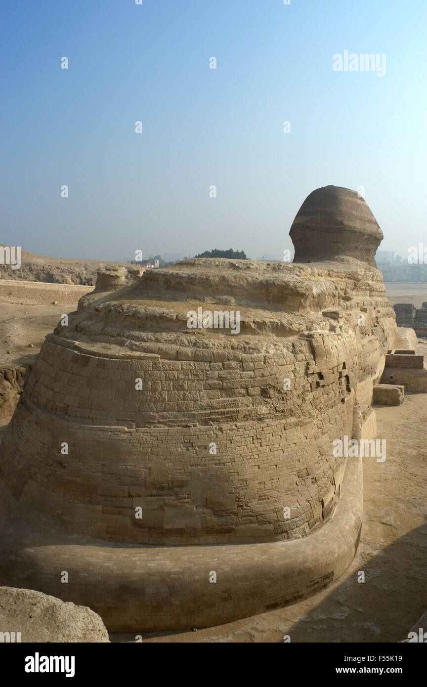 The Great Sphinx Back Legs