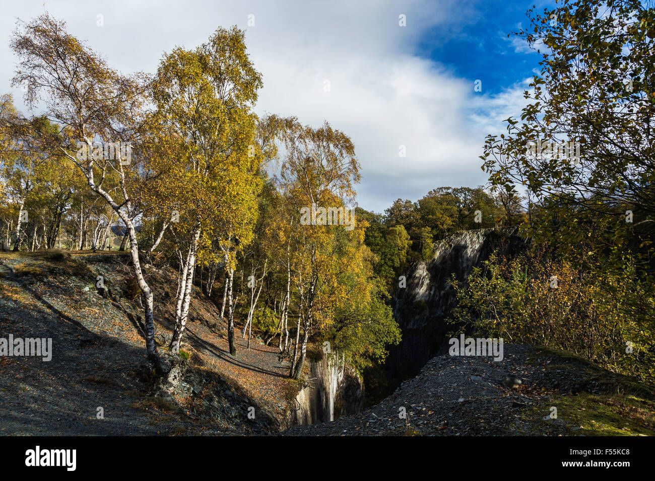 Abandoned Slate Quarry Taken Over by Vegetation and Trees Stock Photo ...