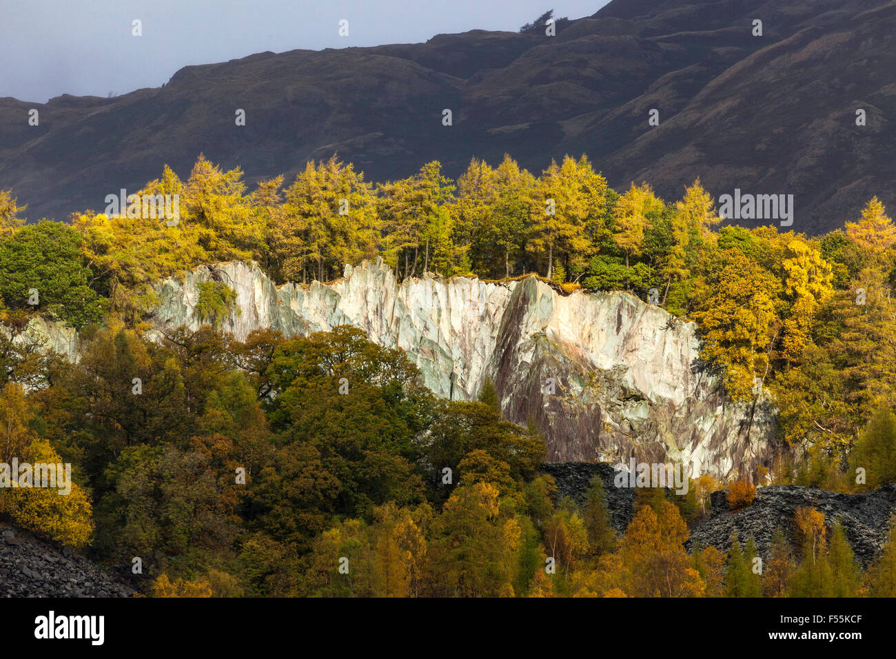 Sun Illuminates Abandoned Slate Quarry Taken Over by Vegetation and ...