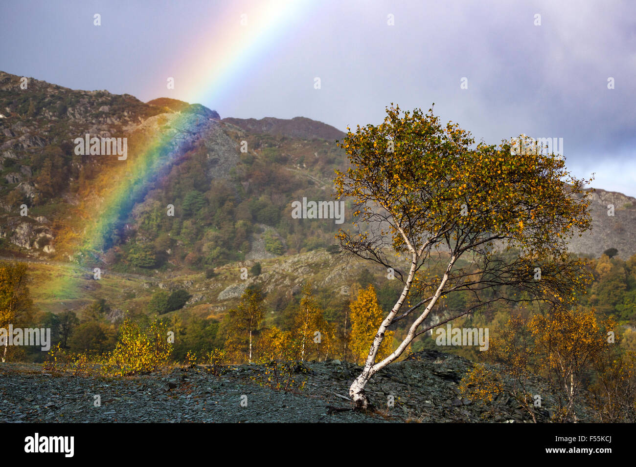 Rainbow over Abandoned Slate Quarry Taken Over by Vegetation and Trees ...