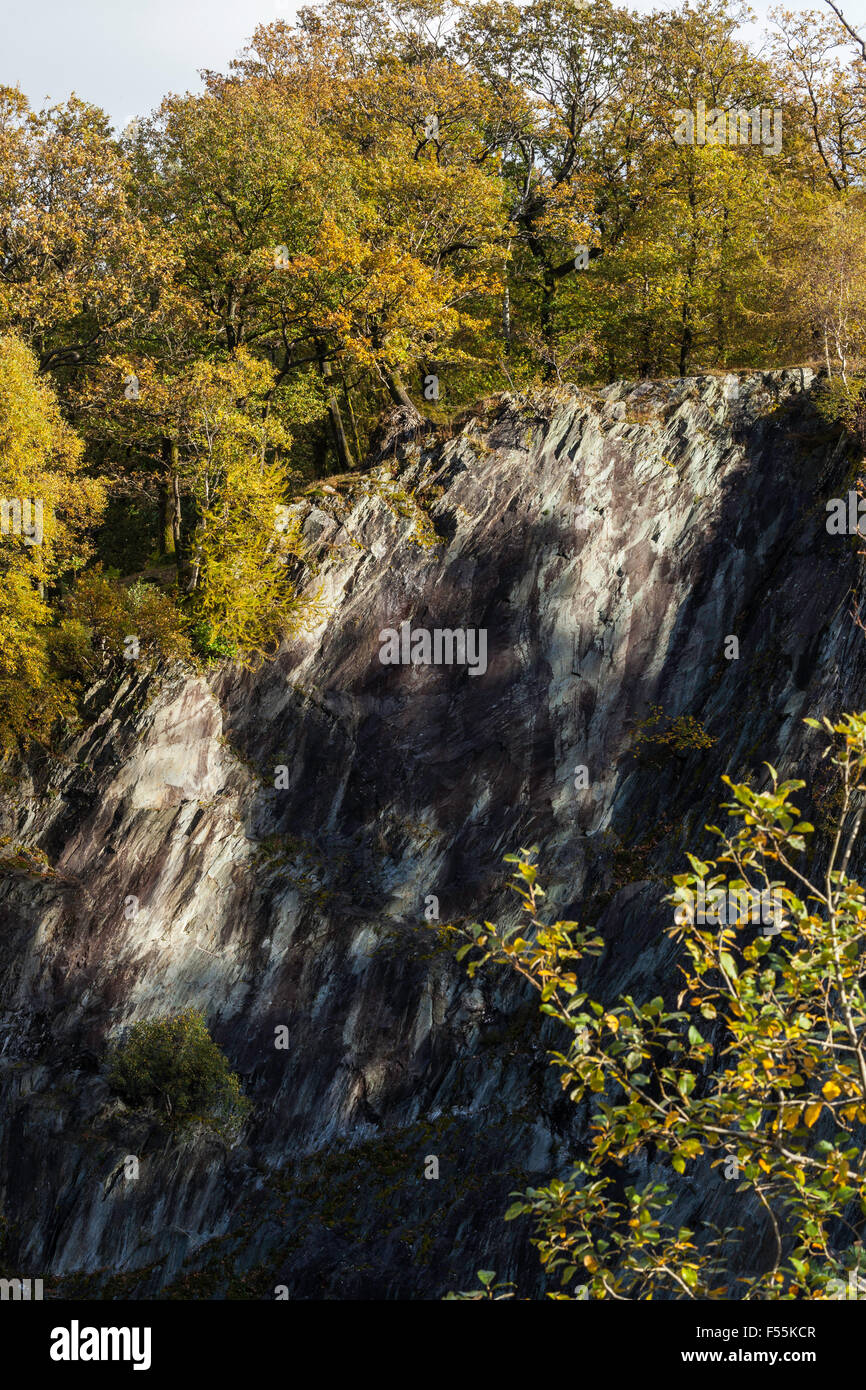 Abandoned Slate Quarry Taken Over by Vegetation and Trees Stock Photo ...