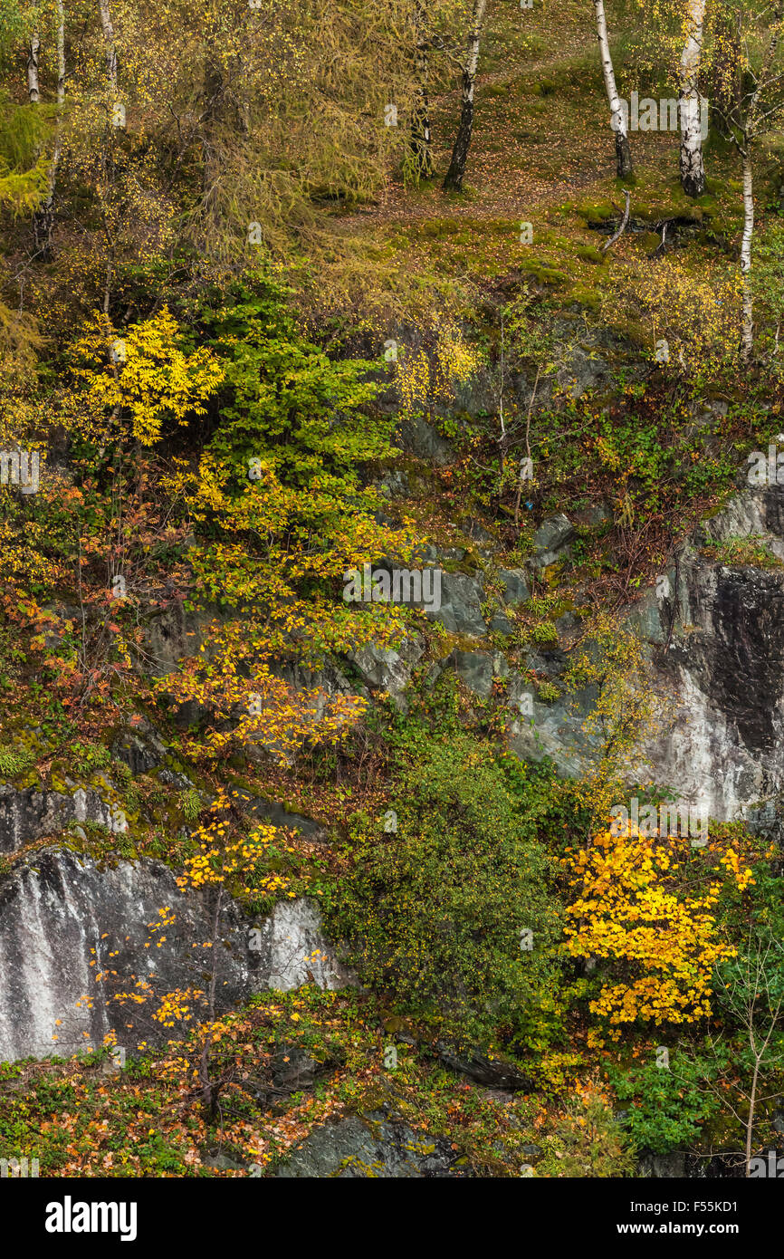 Abandoned Slate Quarry Taken Over by Vegetation and Trees Stock Photo ...