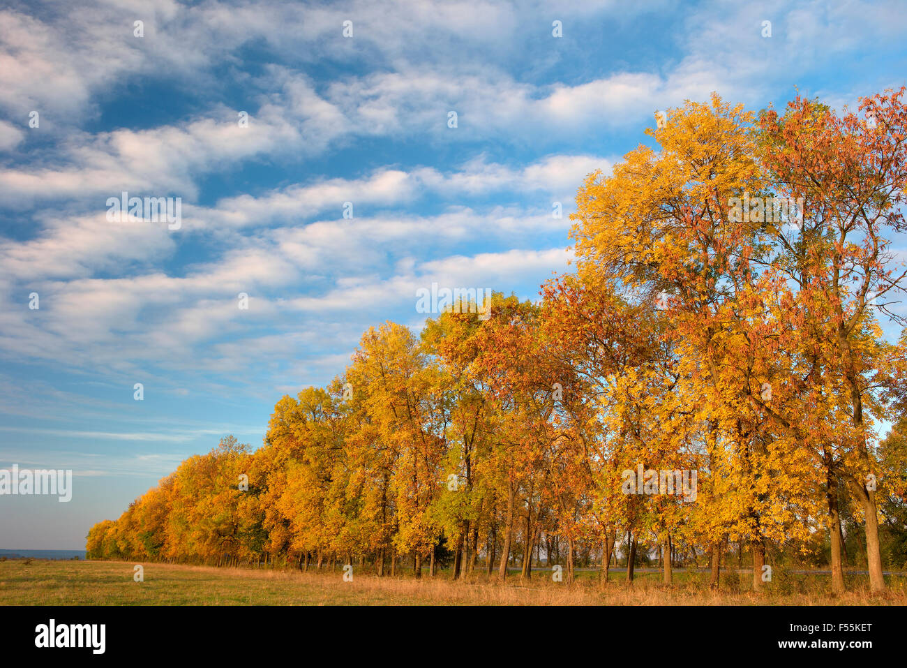 Yellow sky with clouds hi-res stock photography and images - Alamy