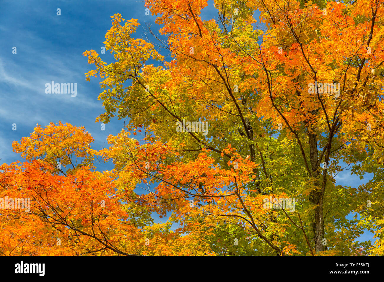 Changing Scenery High Resolution Stock Photography and Images - Alamy
