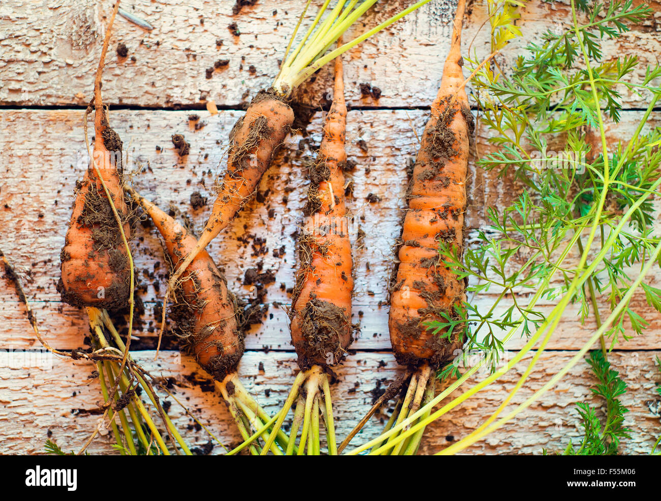 Carrot on a table Stock Photo - Alamy