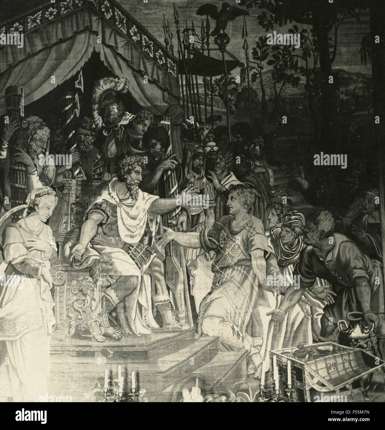 Scipio africanus hi-res stock photography and images - Alamy