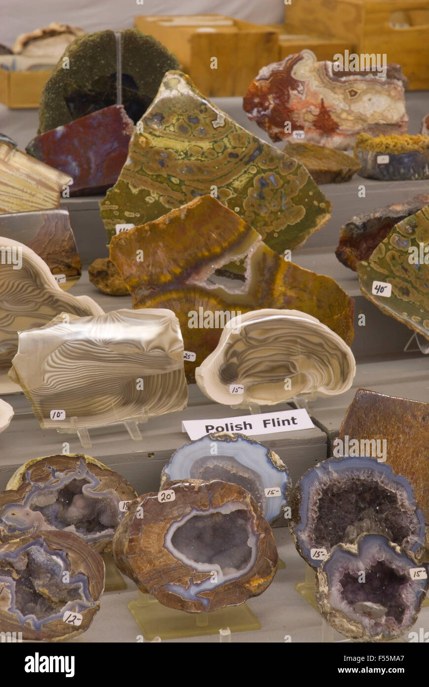 Rock and mineral display, Willamette Agate & Mineral Society Rock & Gem ...