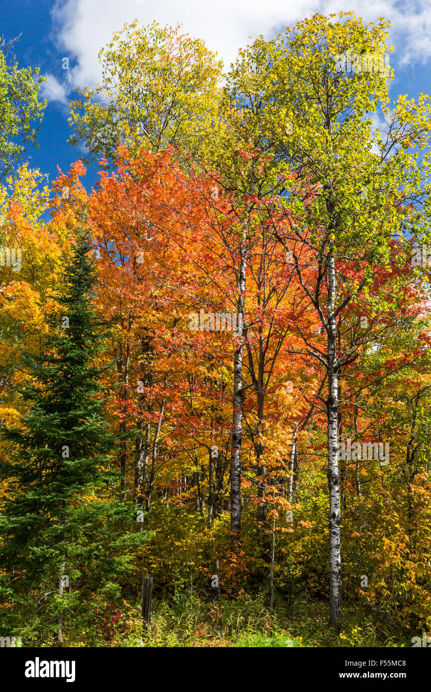 Autumn in Wisconsin Stock Photo - Alamy