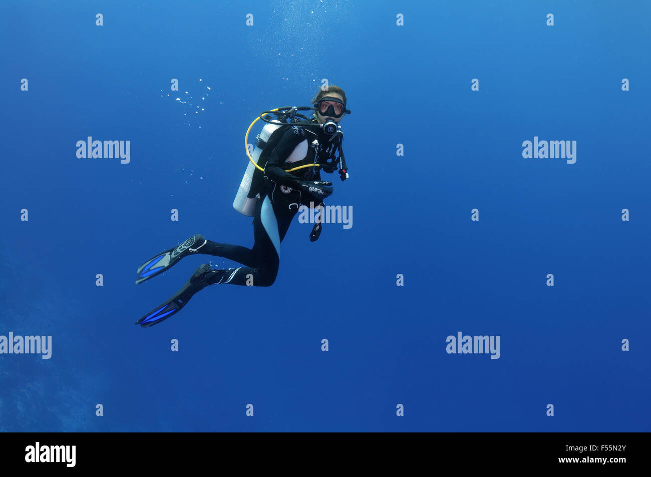 Sept. 26, 2015 - Indian Ocean, Maldives - Young woman diver swimming in ...
