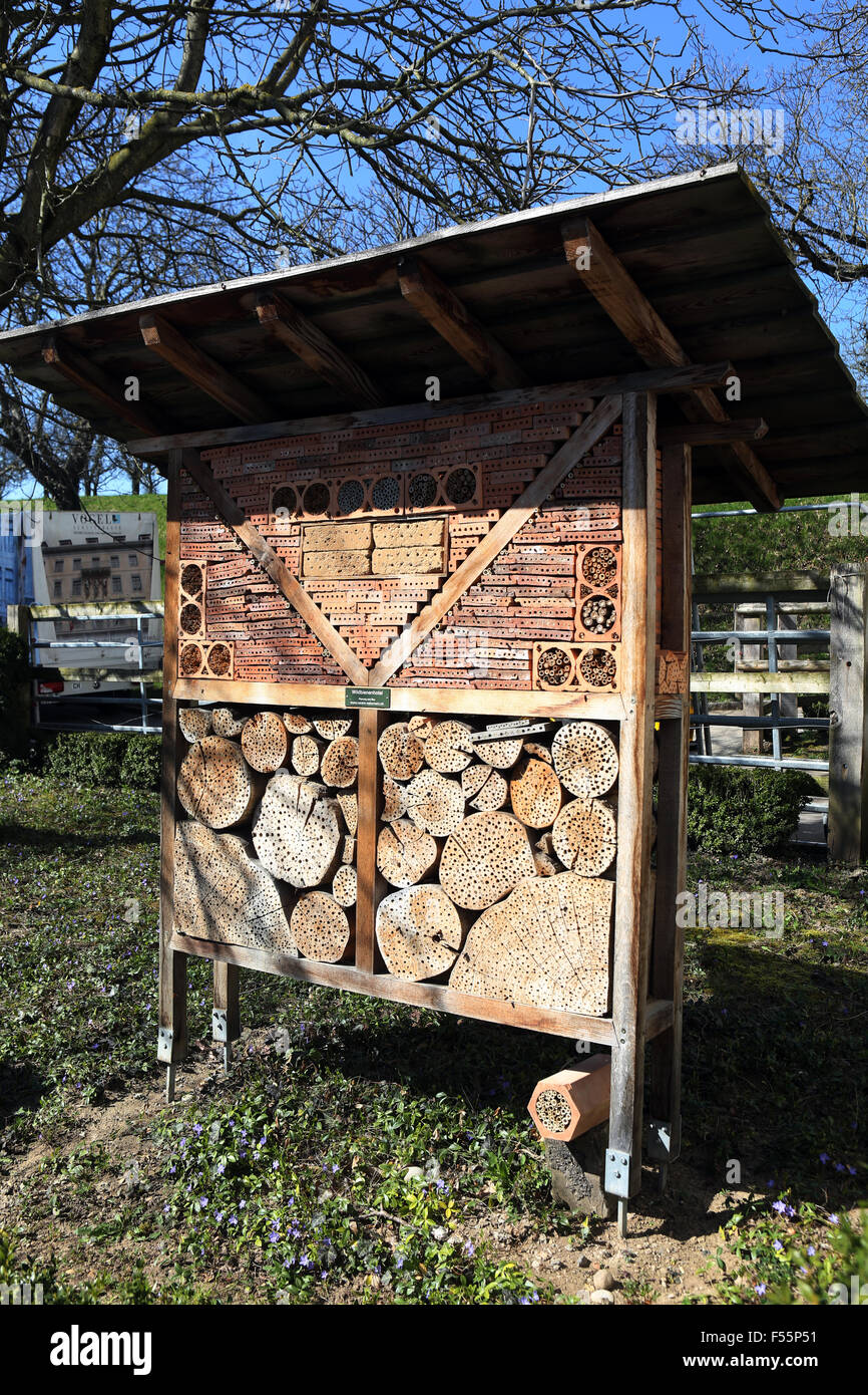 Wintering help insects hi-res stock photography and images - Alamy