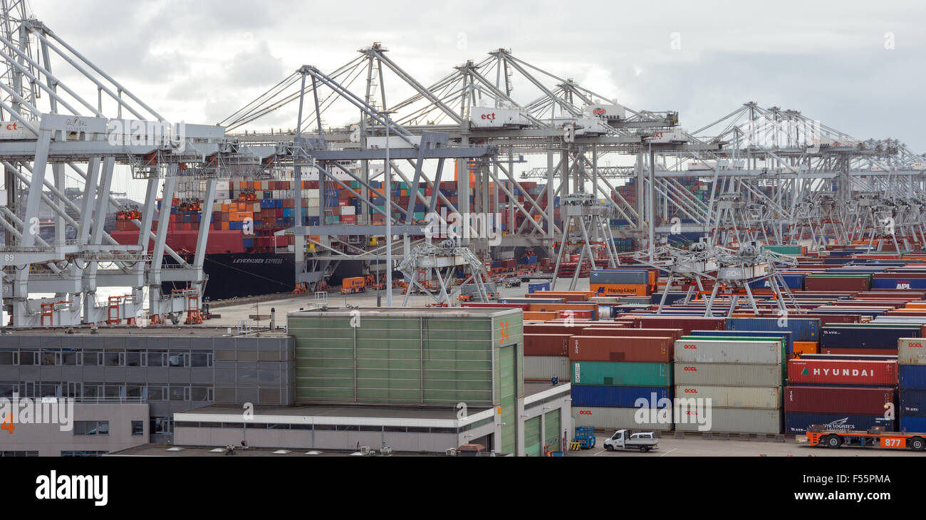 ECT container terminal in the Port of Rotterdam Stock Photo - Alamy