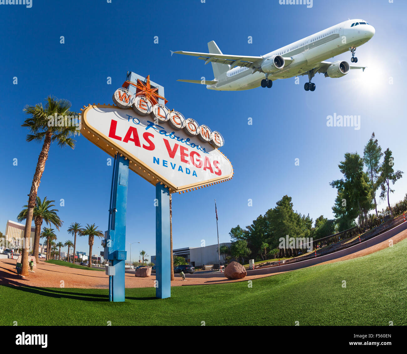 Plane in sky palm trees hi-res stock photography and images - Alamy