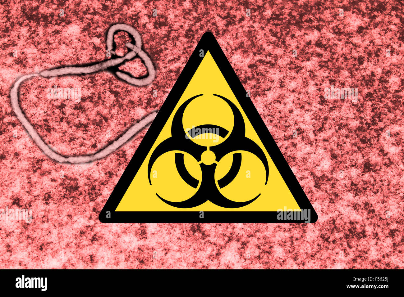 Ebola virus seen under a microscope with epidemic sign Stock Photo - Alamy