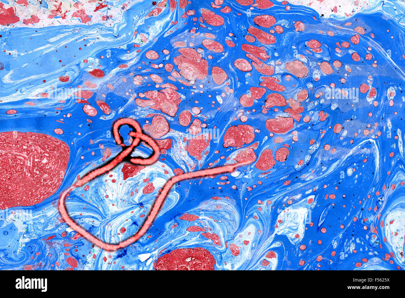 Ebola virus under microscope hi-res stock photography and images - Alamy