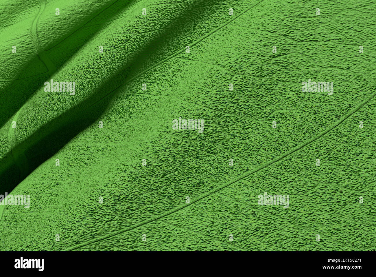 3d leaf hi-res stock photography and images - Alamy