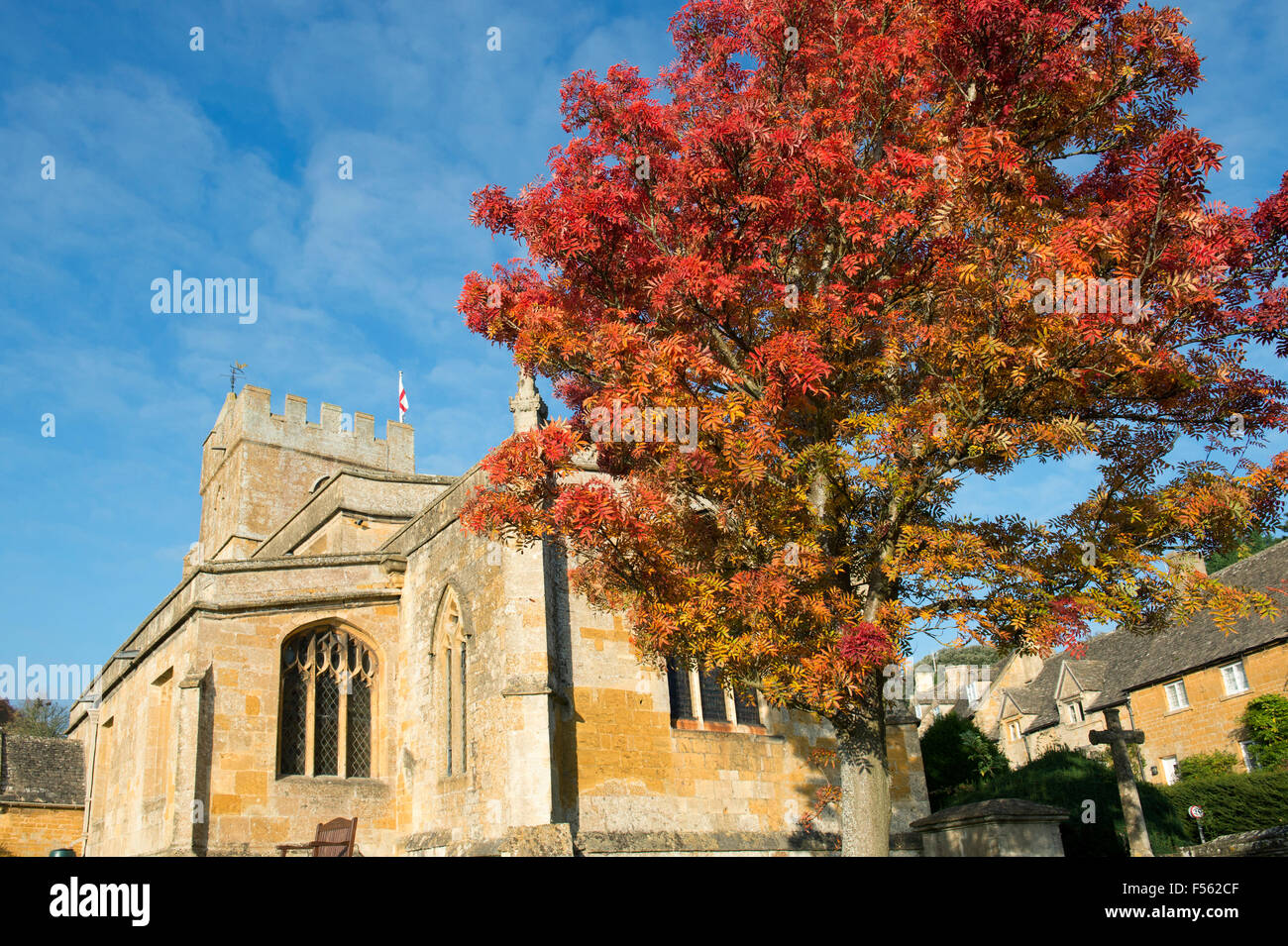 Fiery autumnal leaves hi-res stock photography and images - Alamy