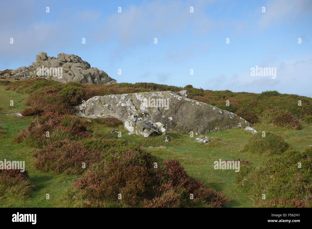 Dolphin shaped rock near Carn Enoch on Mynydd Dinas (Mount Dinas ...