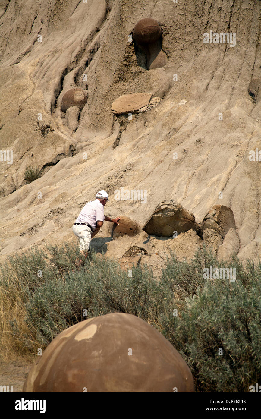 Large spherical boulders known as concretions can be examined at ...