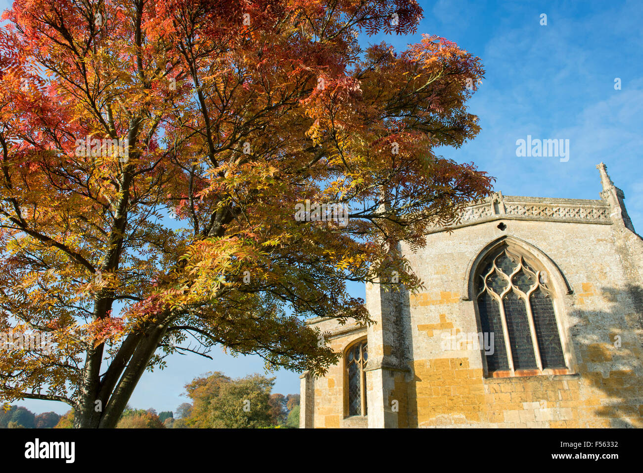Fiery autumnal leaves hi-res stock photography and images - Alamy