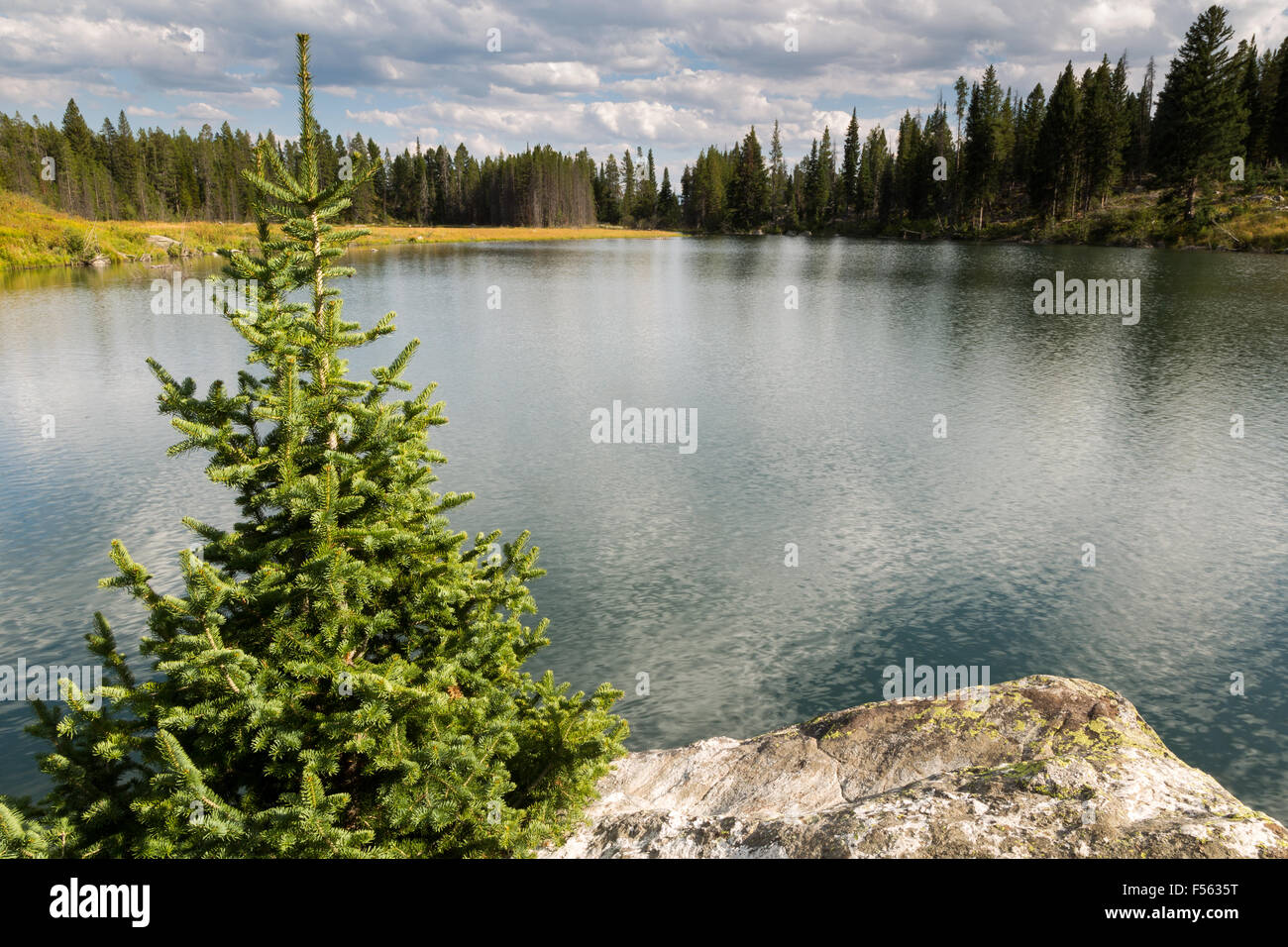 Trapper Lake, at the base of Mount Moran, looking east, Grand Teton ...