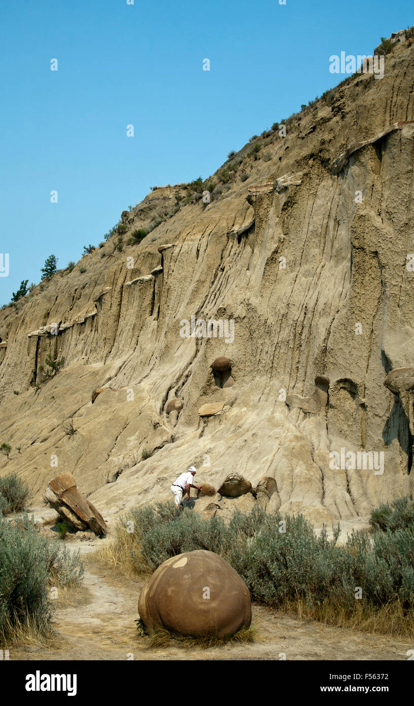 Cannon ball concretions High Resolution Stock Photography and Images ...