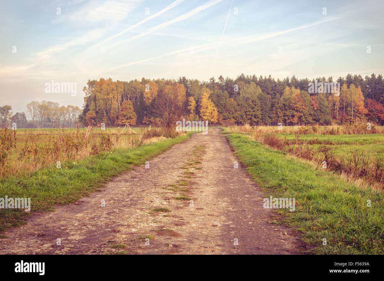 Rural landscape road hi-res stock photography and images - Alamy