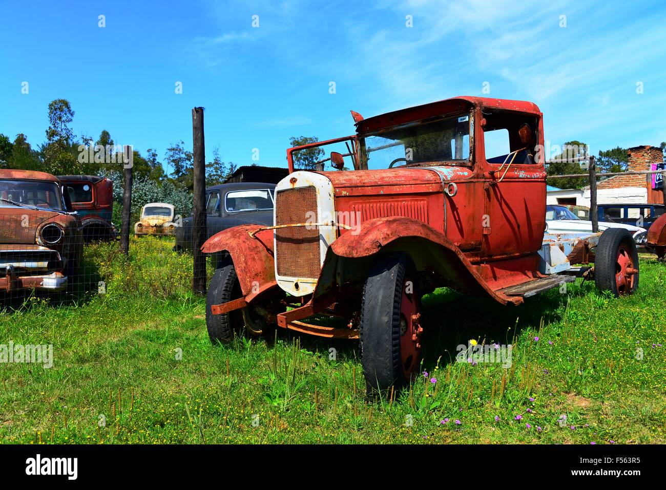 Old ford truck hi-res stock photography and images - Alamy