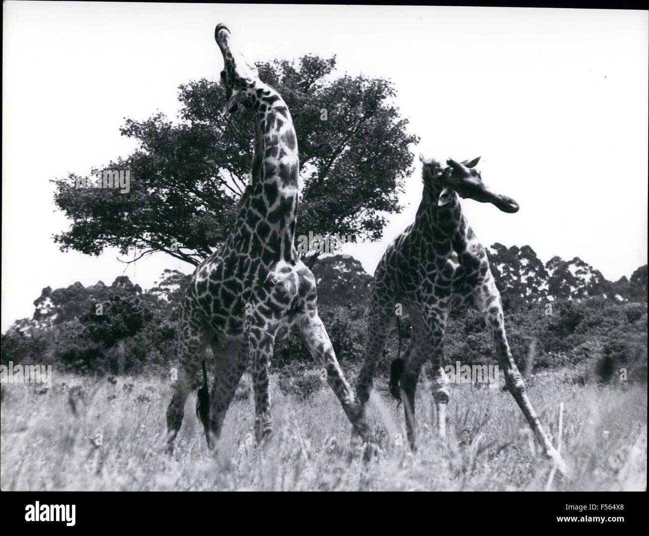 Camerapix Stock Photos & Camerapix Stock Images - Alamy