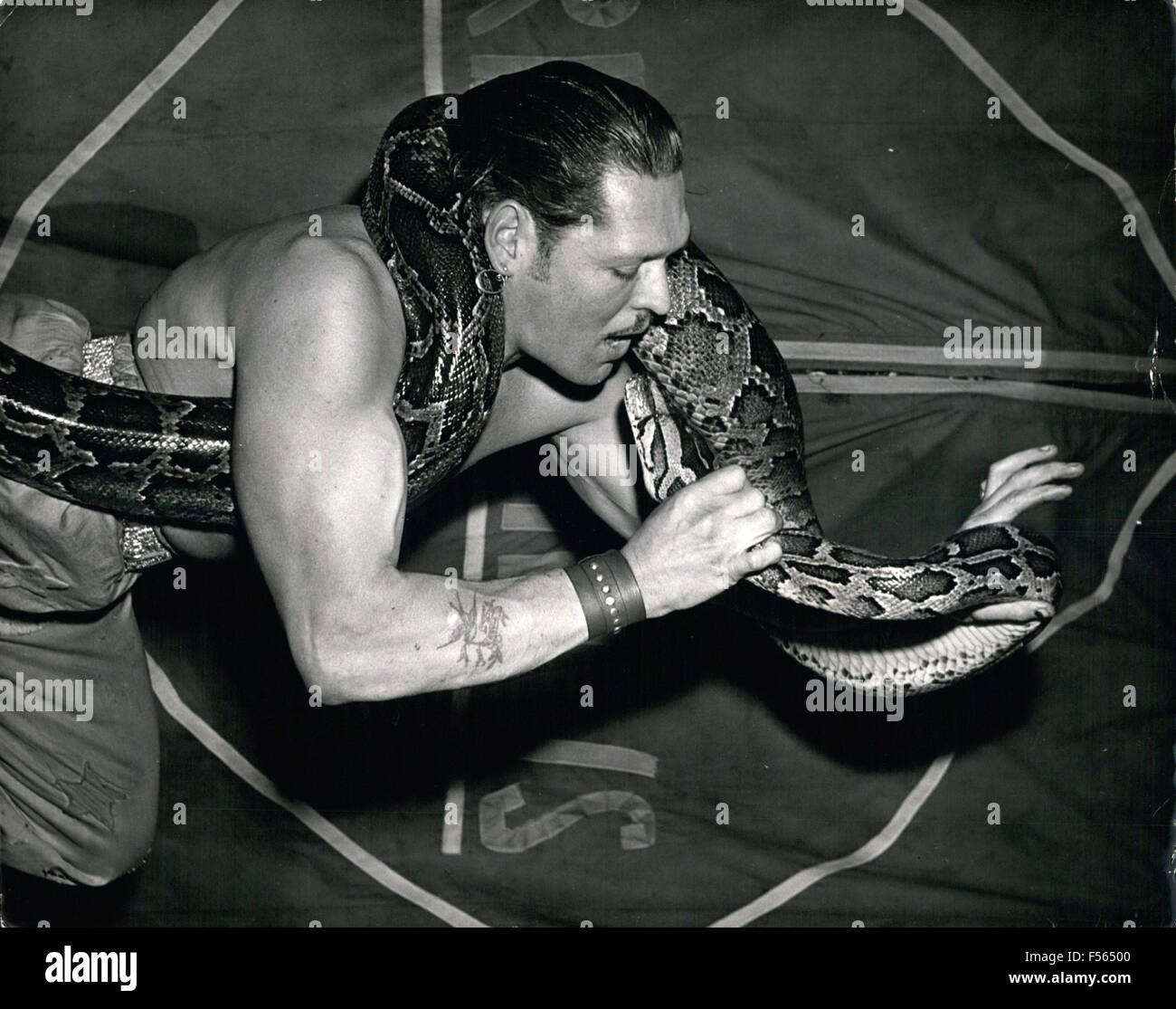 1968 - ''The Kiss of death''. Adrian Darley and his python eye each ...