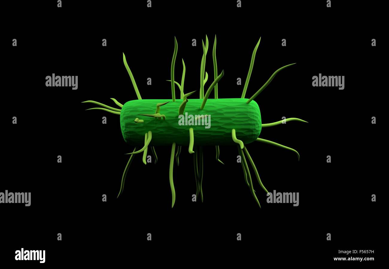 Illustration of green bacteria cell with tentacles Stock Photo - Alamy