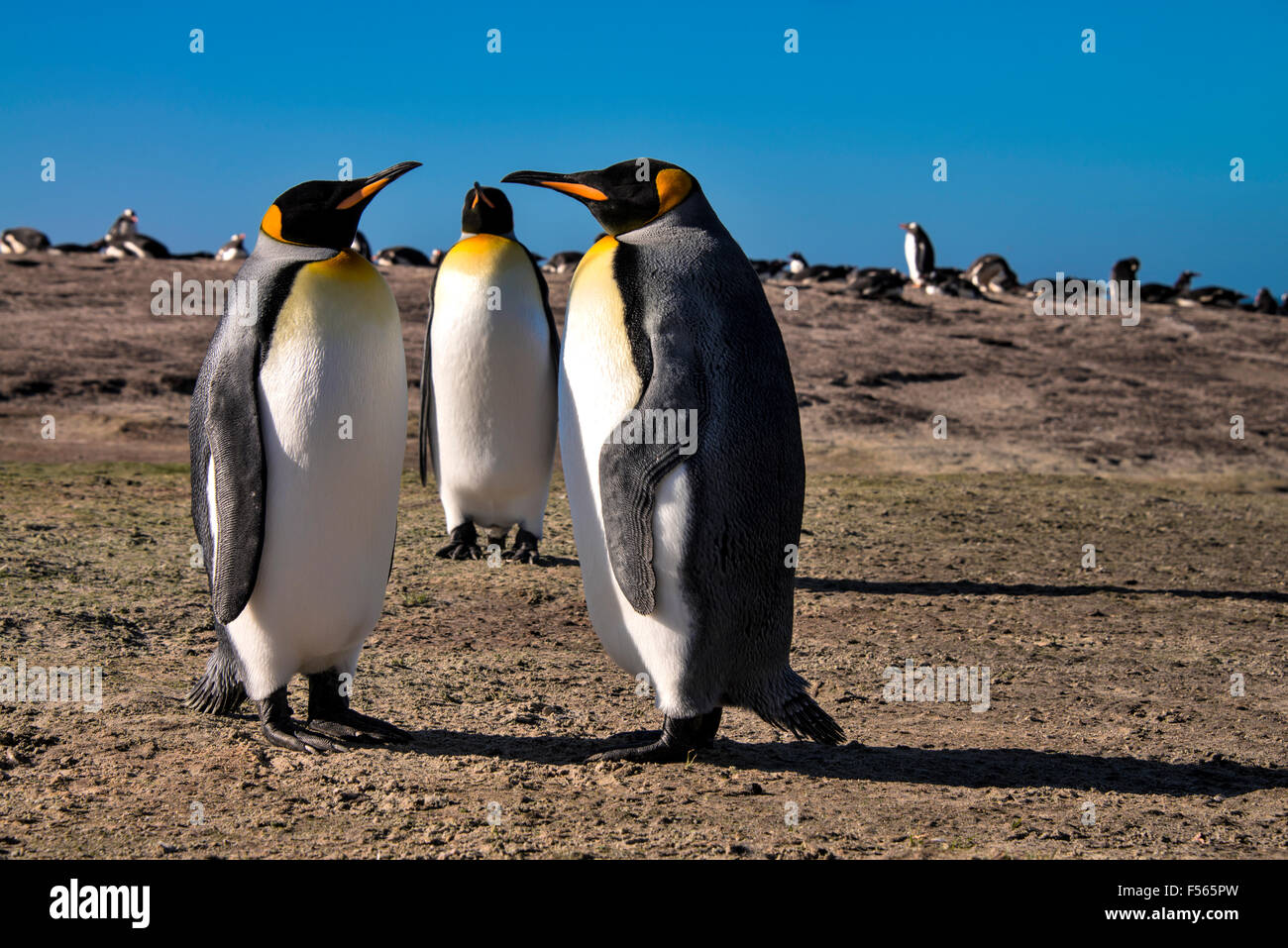 The three kings islands hi-res stock photography and images - Alamy