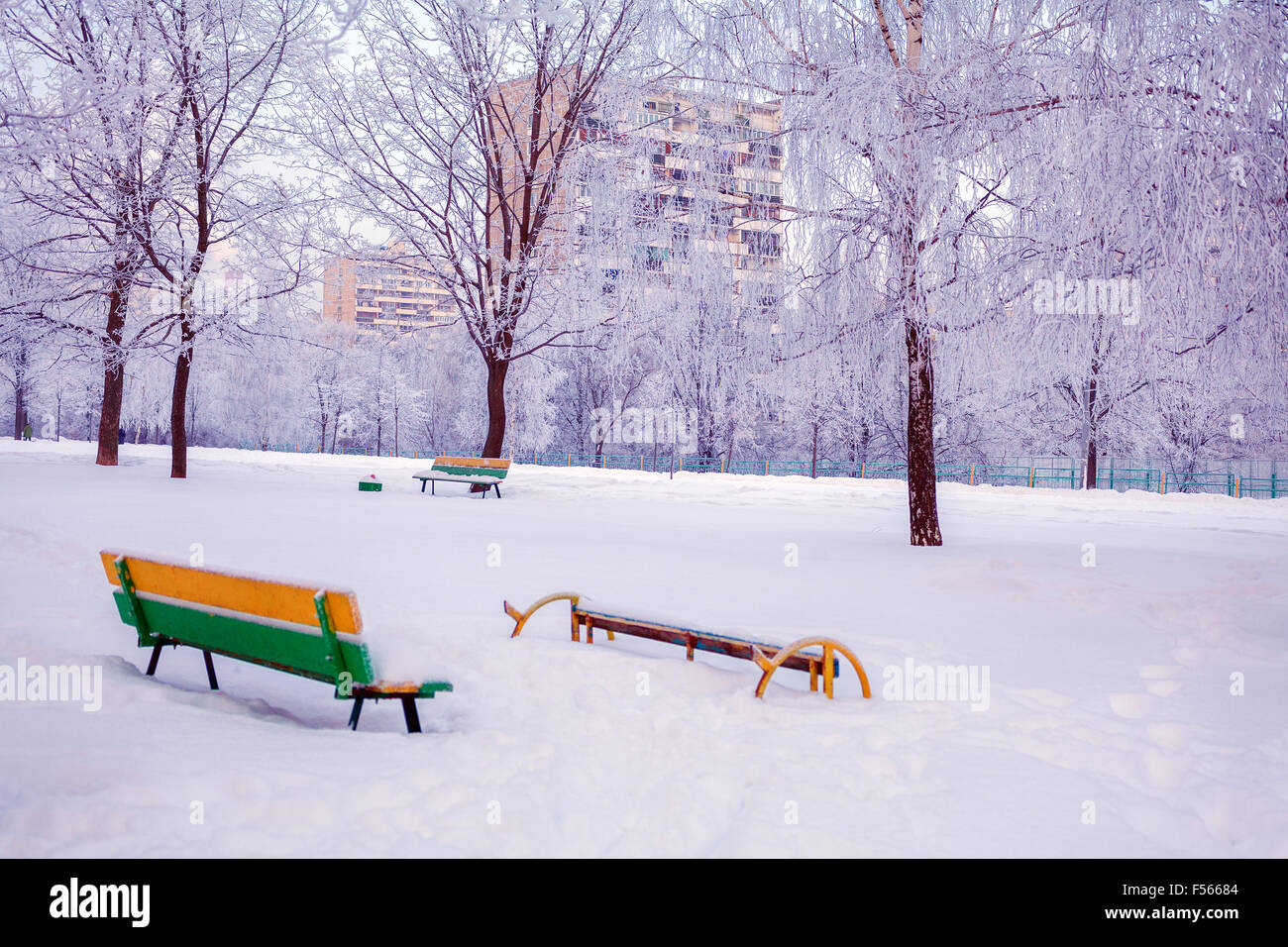 Tree trees field benches hi-res stock photography and images - Alamy
