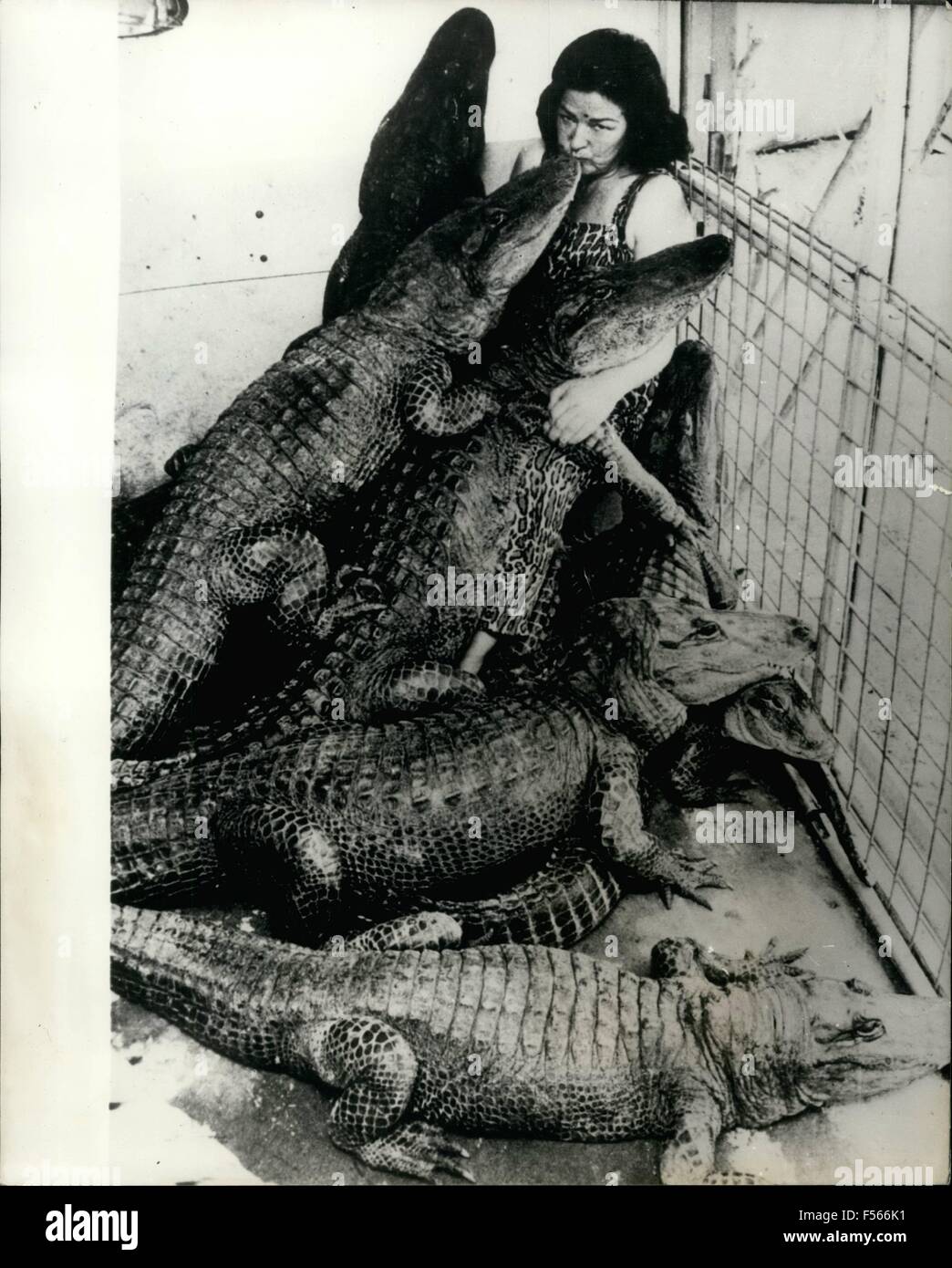 1968 - Indonesian female & animal Koringa with 12 crocodiles & 10 Boa ...