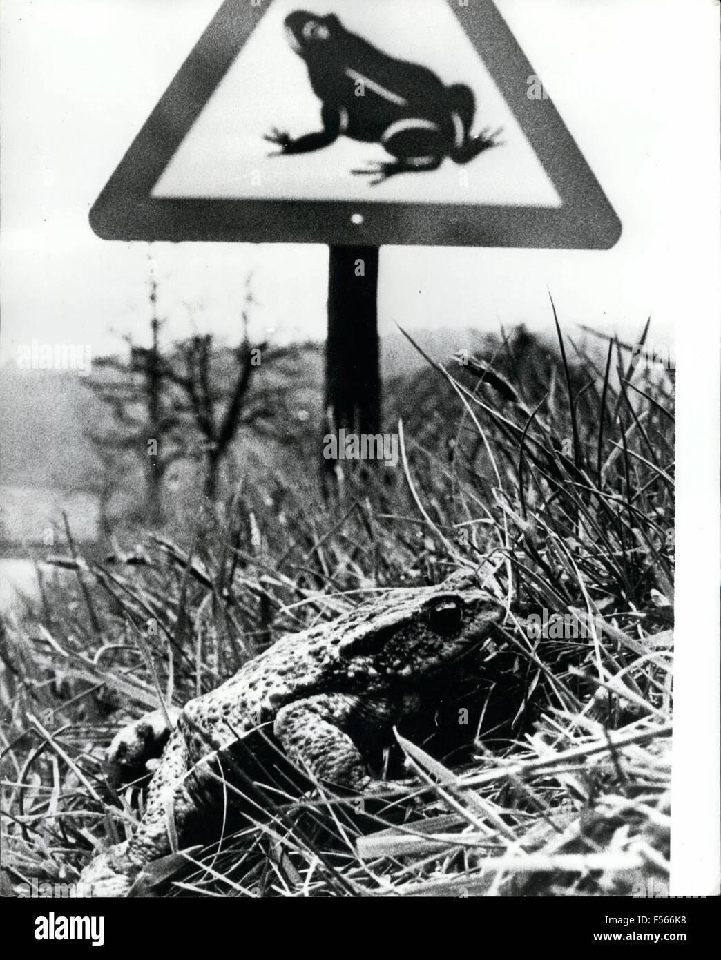 Frog points hi-res stock photography and images - Alamy