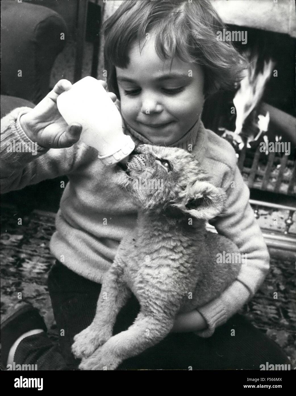 Sally anne hi-res stock photography and images - Alamy