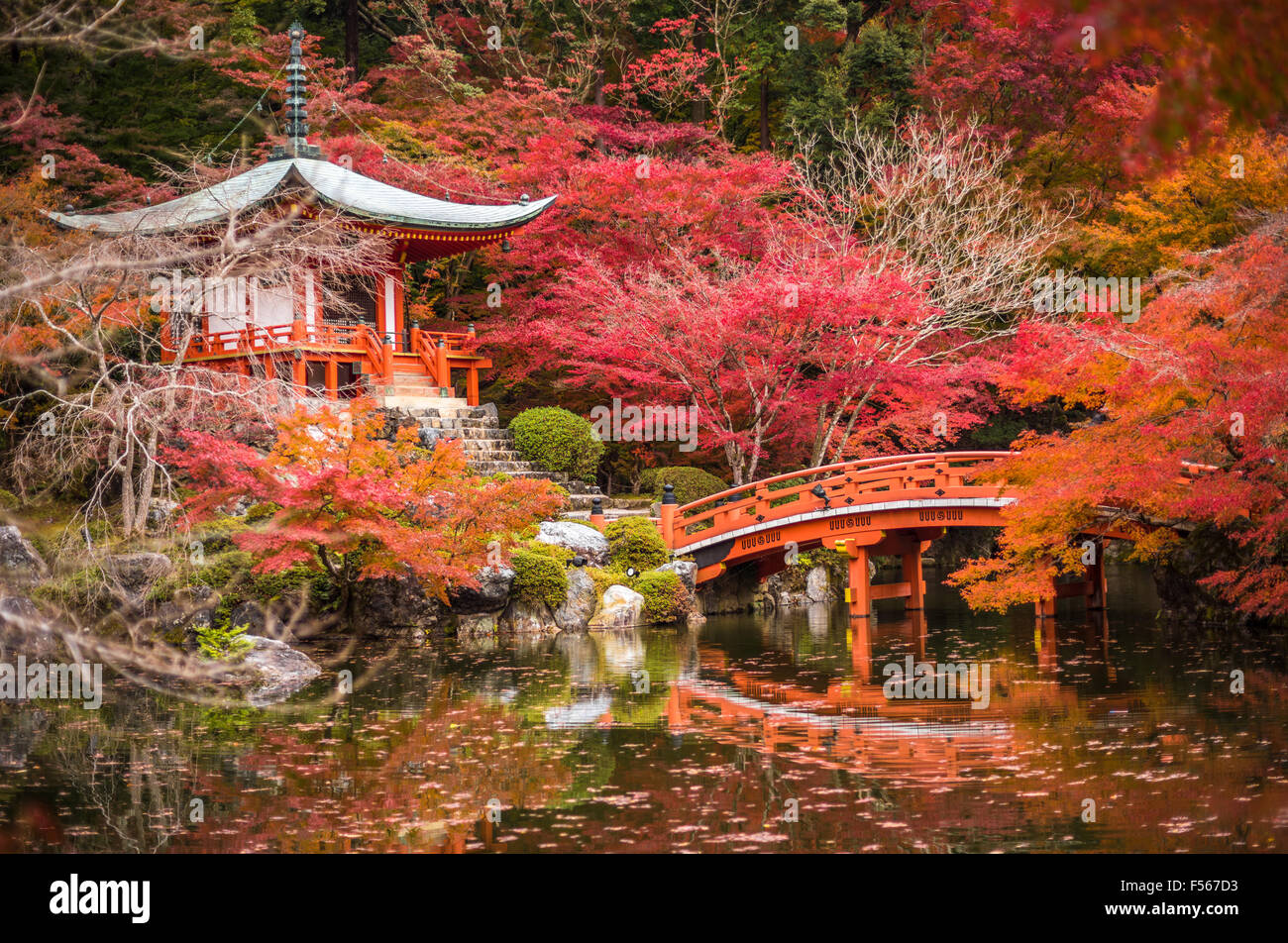 Daigoji temple in maple trees, momiji season, Kyoto, Japan Stock Photo ...