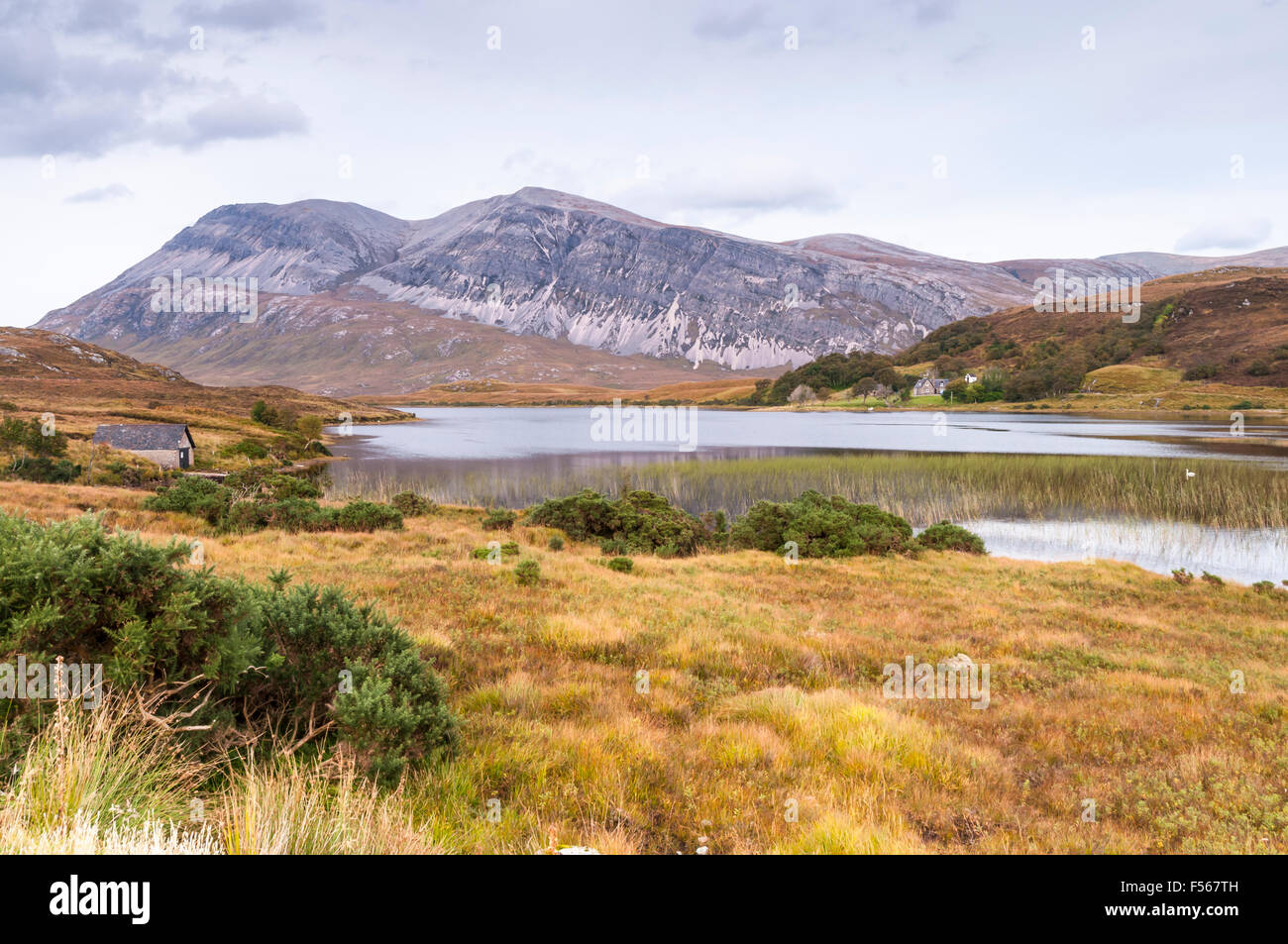 Arkle horse hi-res stock photography and images - Alamy