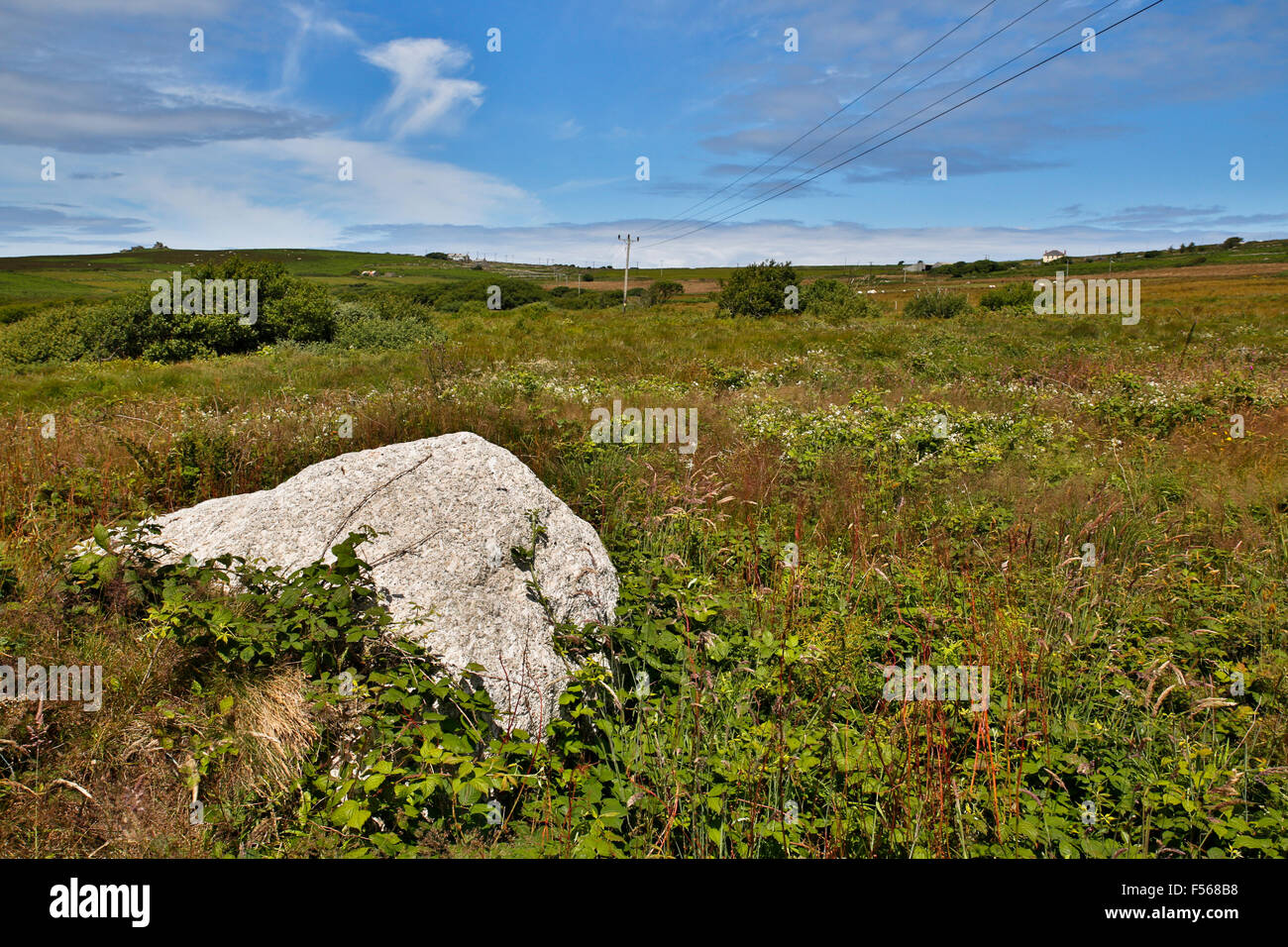 Bostraze Bog Penwith; Cornwall; UK Stock Photo - Alamy