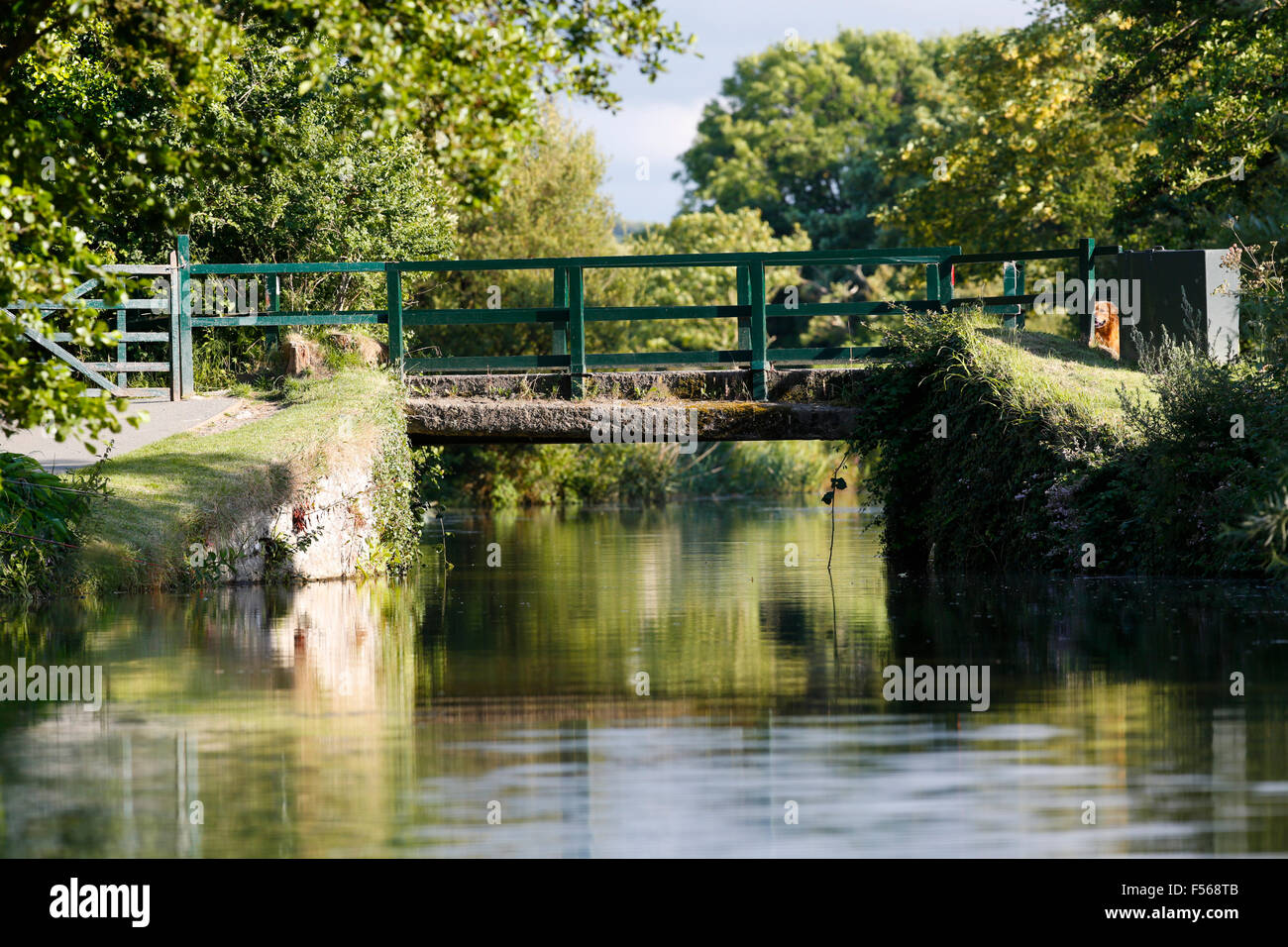 Bude Canal and Marshes; Bridge; Cornwall; UK Stock Photo - Alamy
