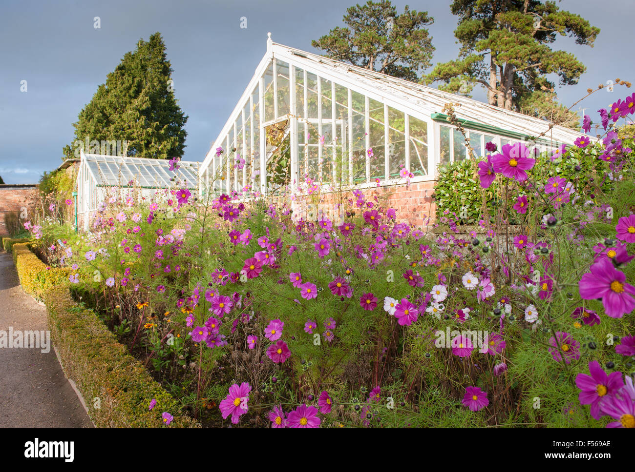 Glasshouses at the Museum of Welsh Life, St Fagans, near Cardiff, South ...