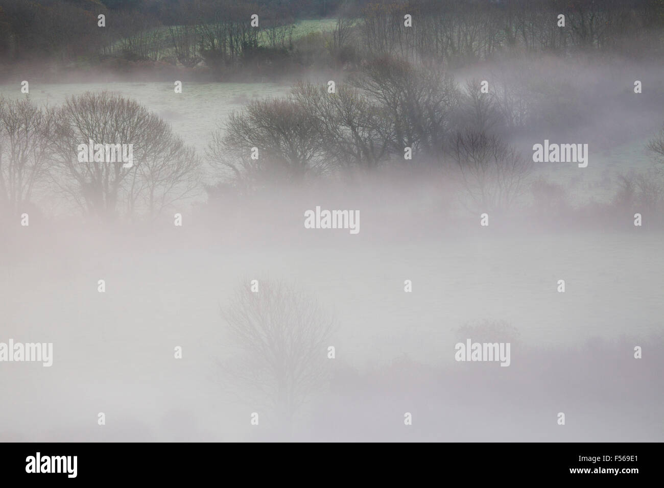 Cornwall landscape mist hi-res stock photography and images - Alamy
